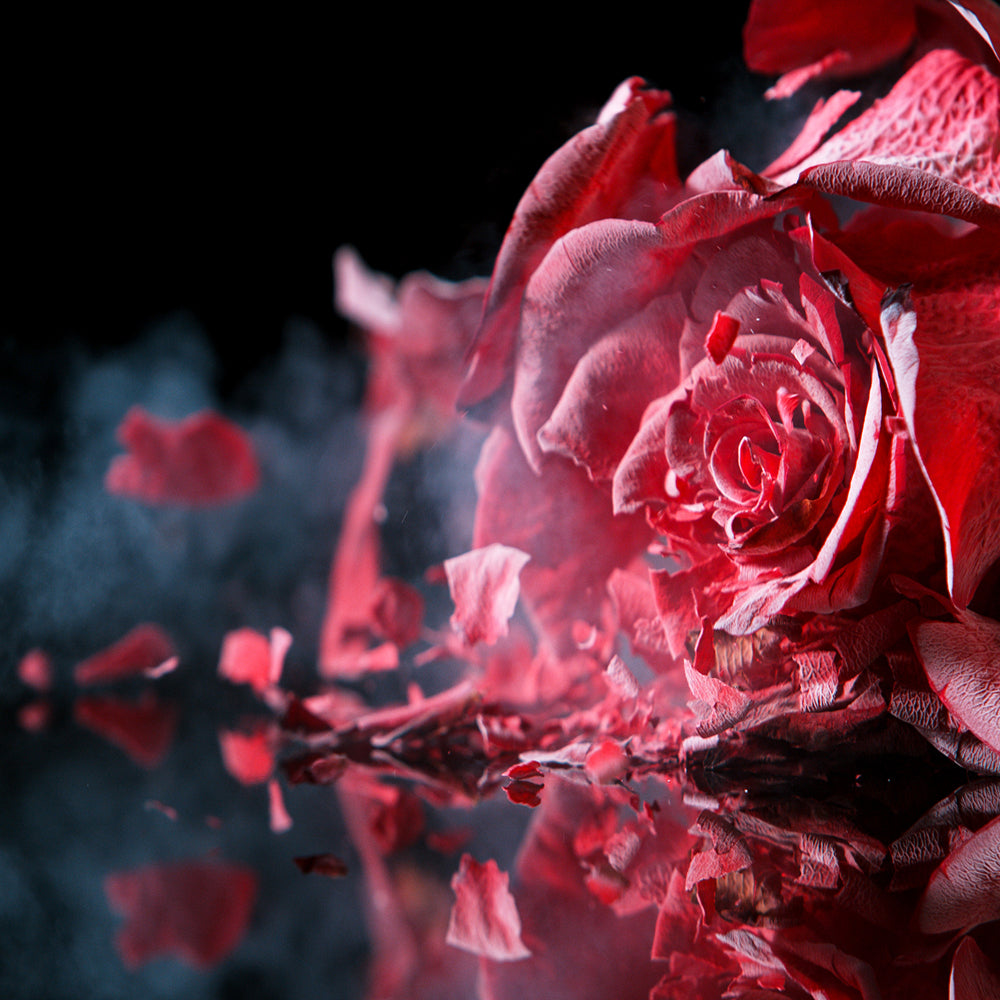 Délit de Fleurs – Deconstructing Eden